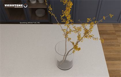 Đá LG Solid Surface - M421 Passo